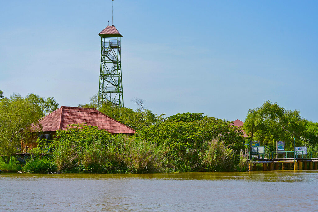 Reserva de la Biosfera Pantanos de Centla: Joya Natural | Revista de ...